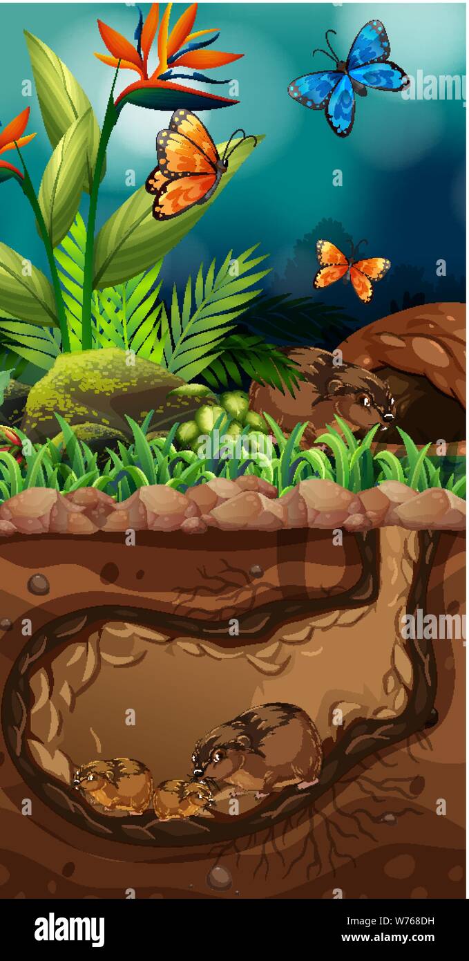 Landscape design with lives underground and butterflies illustration ...