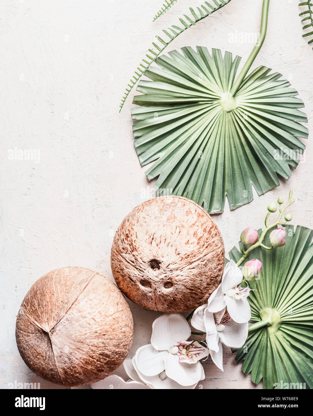 Two whole coconuts on light background with tropical leaves and flowers ...
