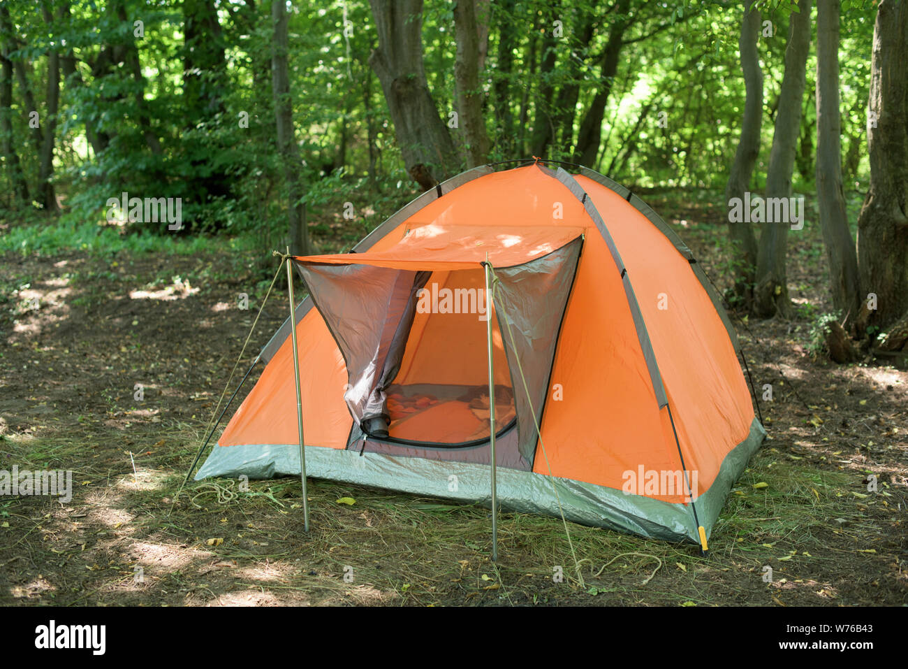 Tent camping - one orange tent among the oak trees Stock Photo - Alamy
