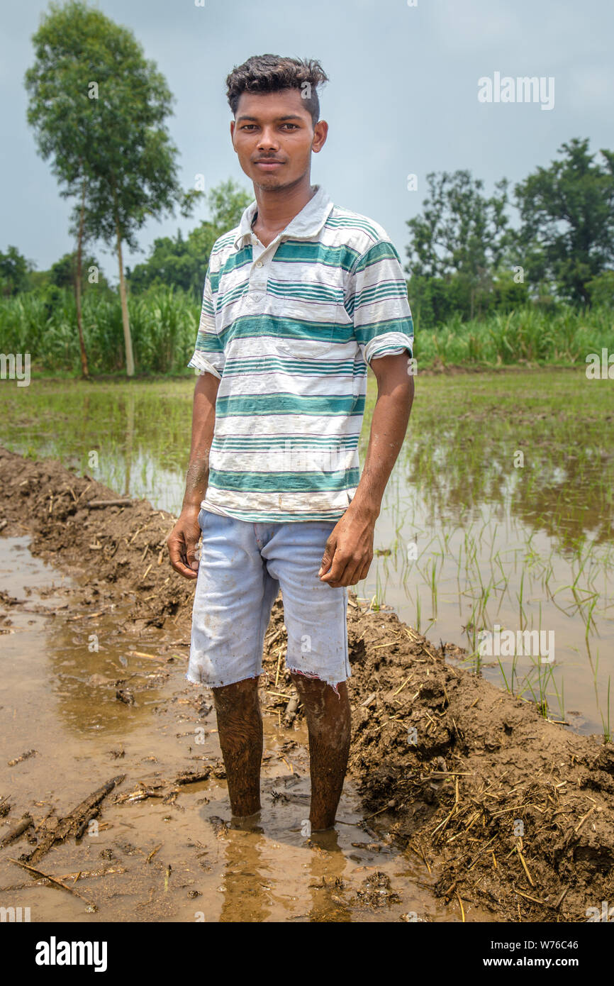 Indian Farmer in Paddy Field. A paddy field is a flooded parcel of ...