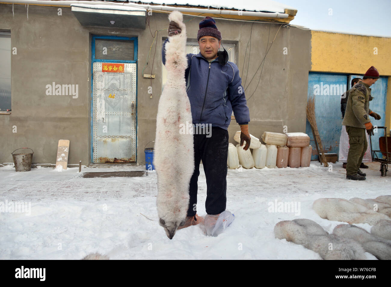 Fox fur farm hi-res stock photography and images - Alamy