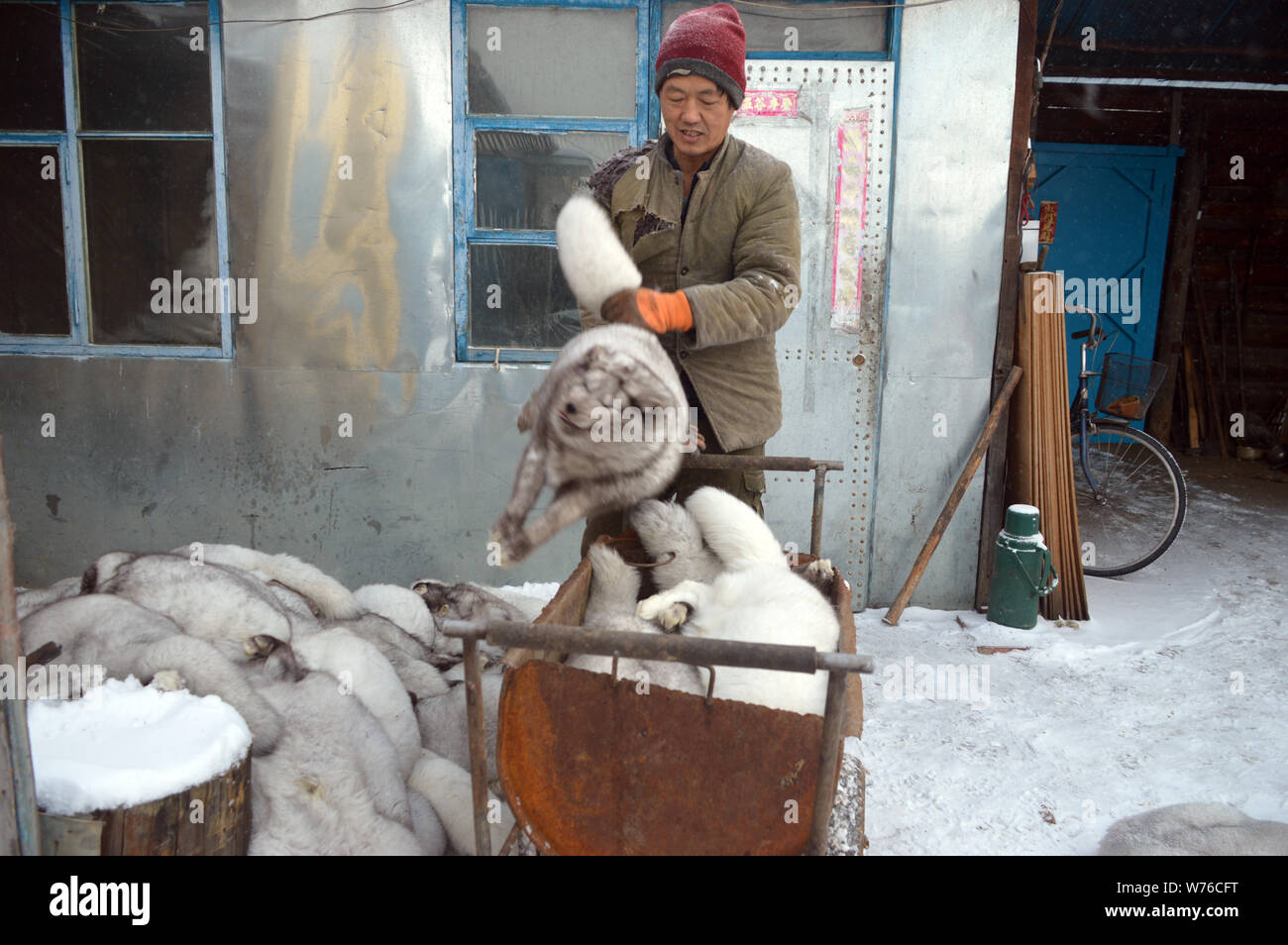 Fox farm china hi-res stock photography and images - Alamy