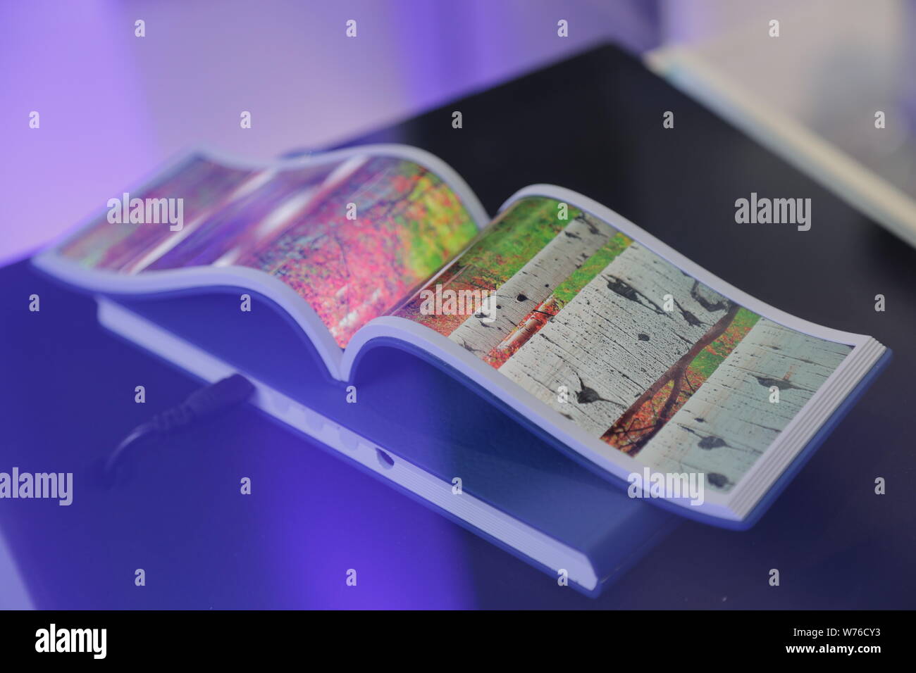 A thin, paper-like foldable AMOLED screen is on display during the ...