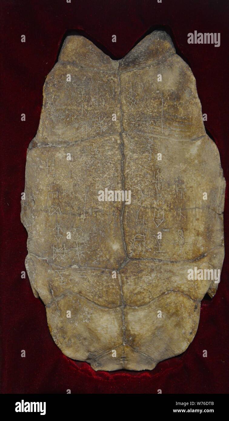 Tortoise plastron china hi-res stock photography and images - Alamy