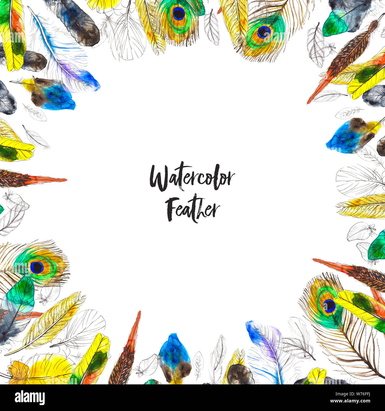 Watercolor frame with colorful feathers on white background Stock Photo ...