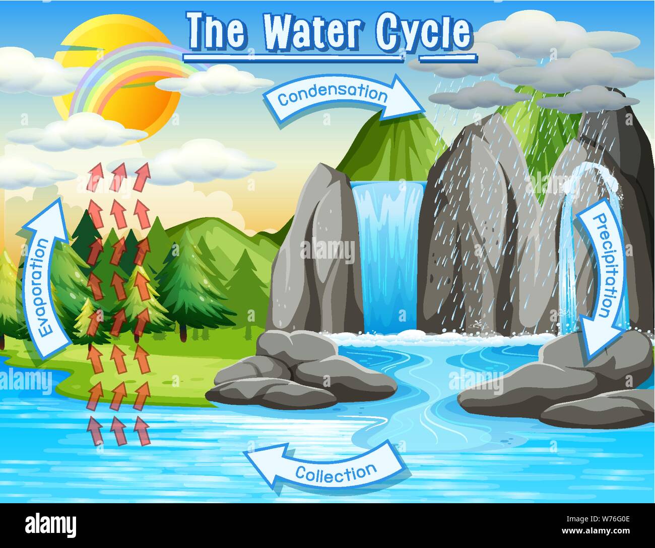 Collection Water Cycle