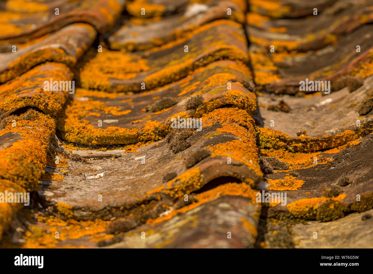 Rusted roof hi-res stock photography and images - Alamy