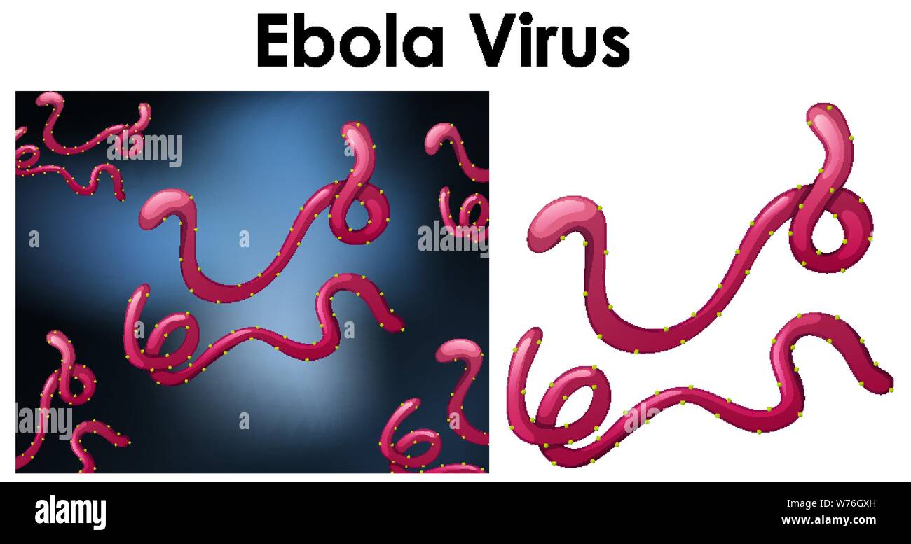 Anatomical Pathology Technology High Resolution Stock Photography and ...