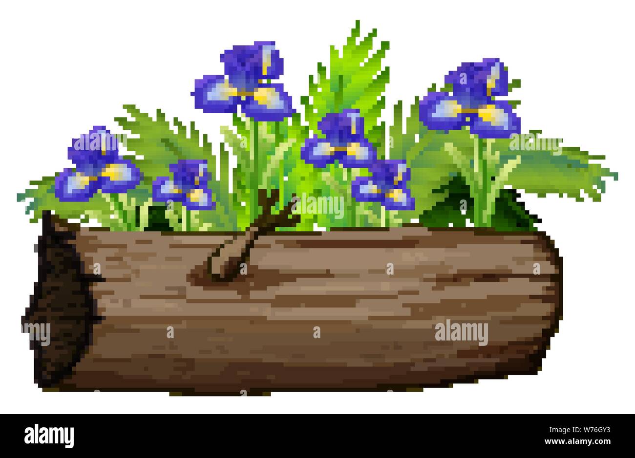 Iris flowers and wooden log on white background illustration Stock ...