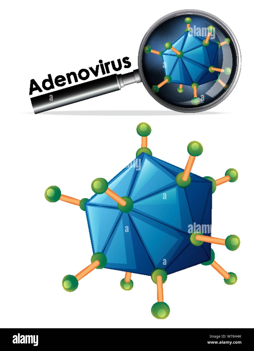Close Up Isolated Object Of Virus Named Adenovirus Illustration Stock Vector Image And Art Alamy