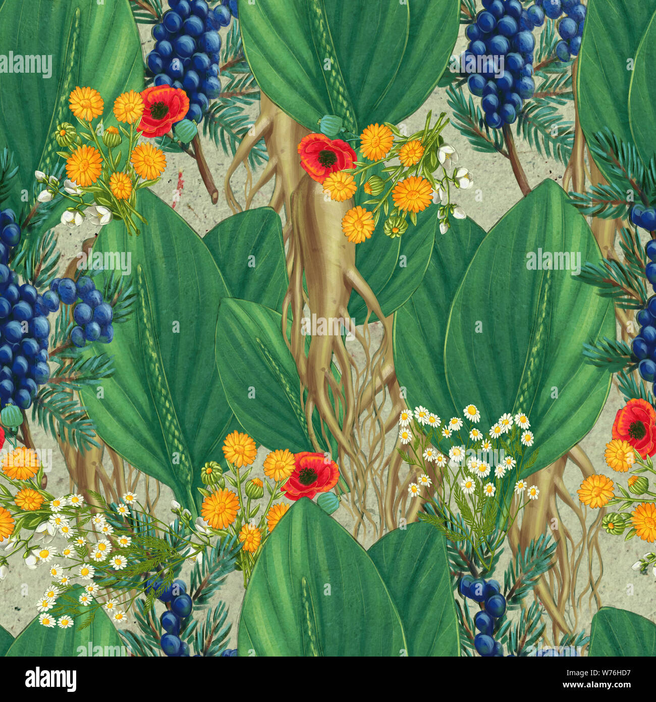 Hand drawn medicinal plant seamless pattern. Healing herbs drawing on ...