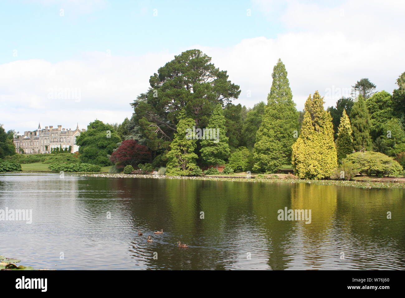 Sussex sommer hi-res stock photography and images - Alamy