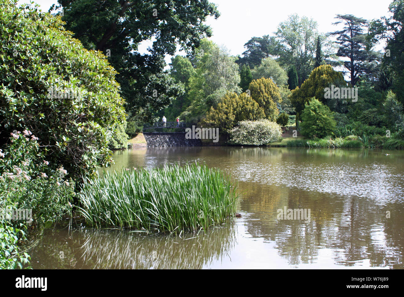 Sussex sommer hi-res stock photography and images - Alamy