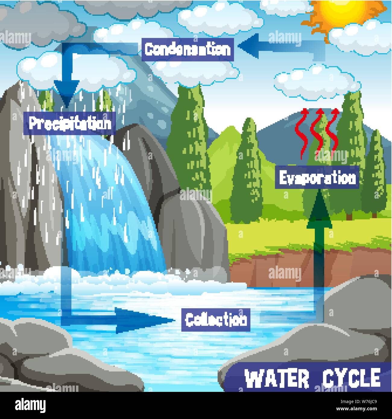 Water cycle process on Earth - Scientific illustration Stock Vector ...