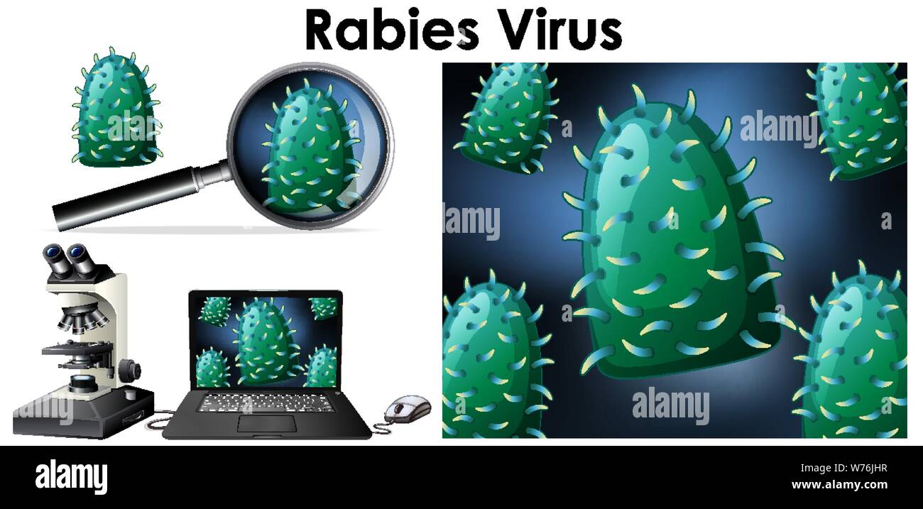 Close up isolated object of virus name Rabies virus illustration Stock ...