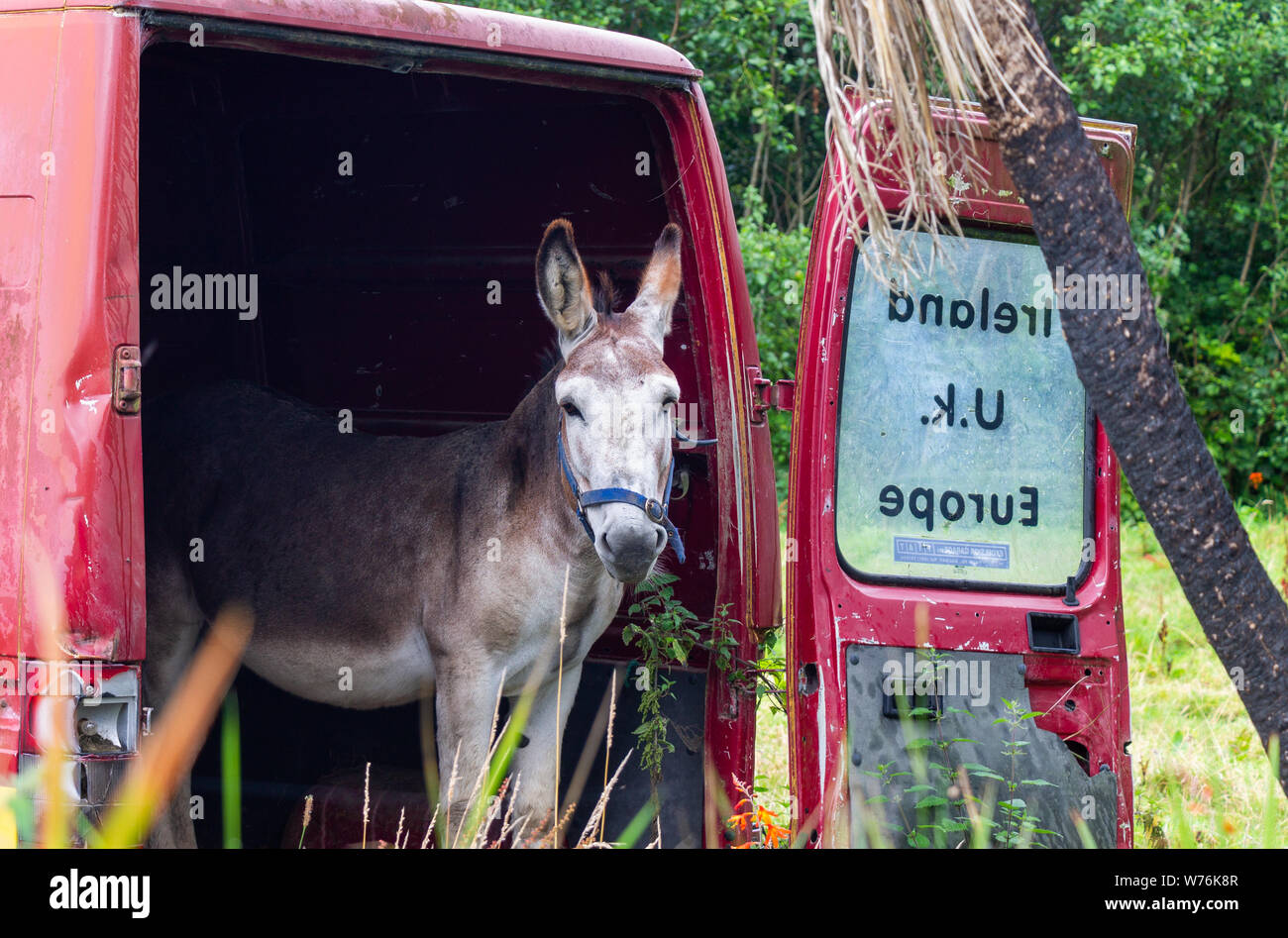 Domestic van hi-res stock photography and images - Alamy