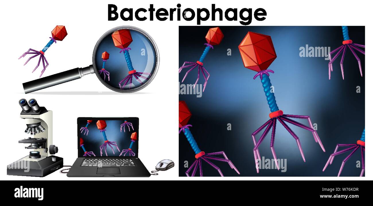 Close up isolated object of virus Bacteriophage illustration Stock Vector Image & Art - Alamy
