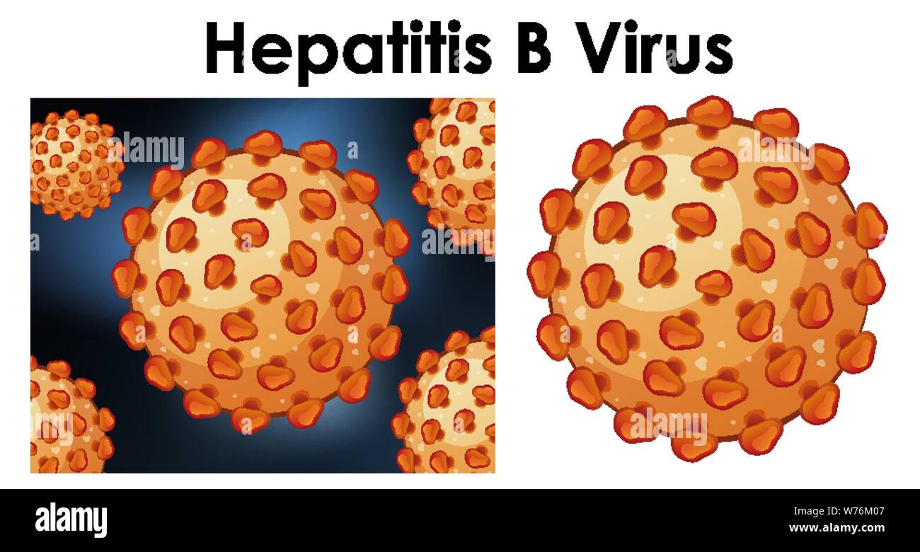 Close up isolated object of virus Hepatitis B illustration Stock Vector ... Close up isolated object of virus Hepatitis B illustration Stock Vector ...
