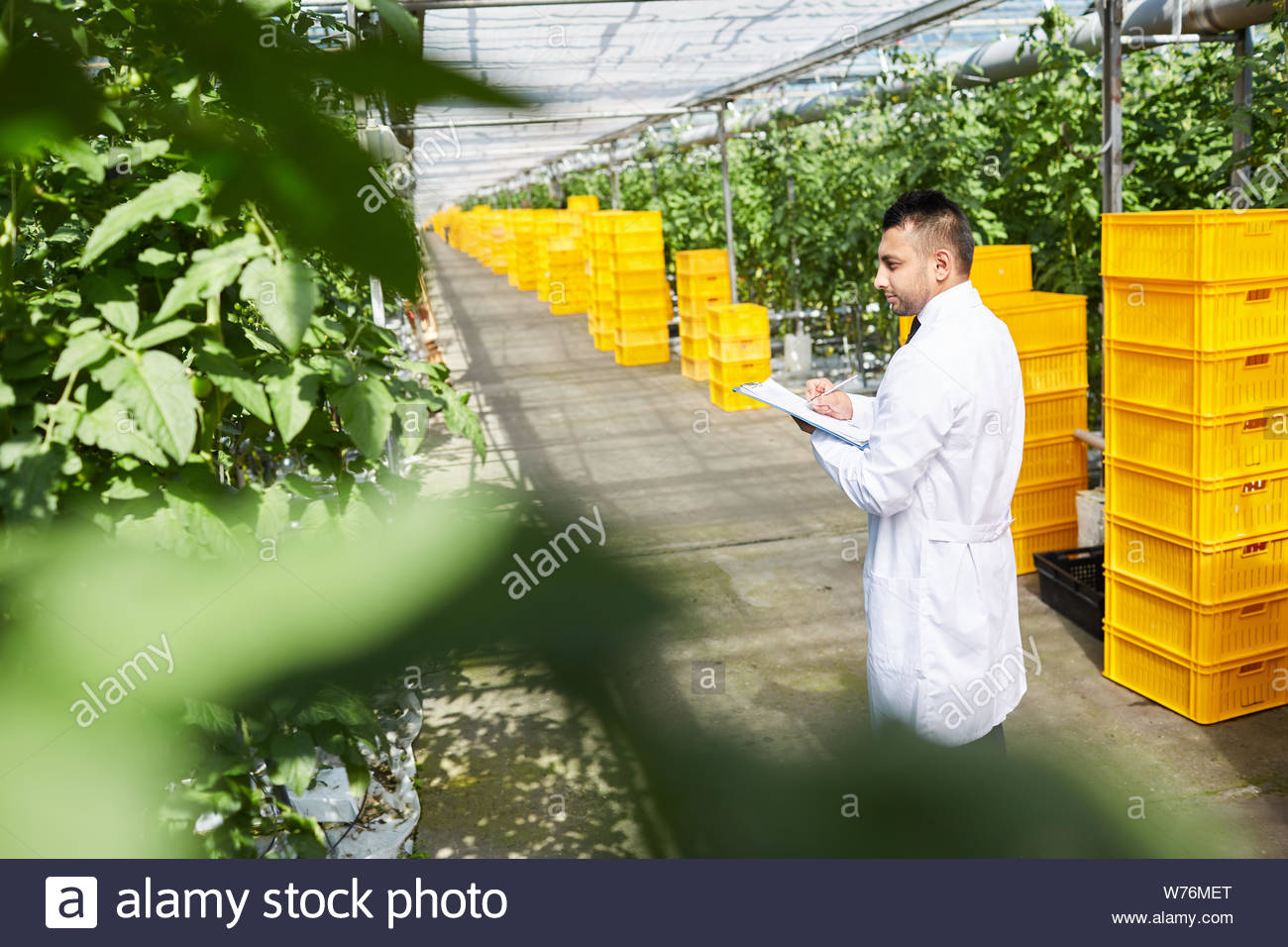 Agricultural Engineer Stock Photos & Agricultural Engineer Stock Images ...