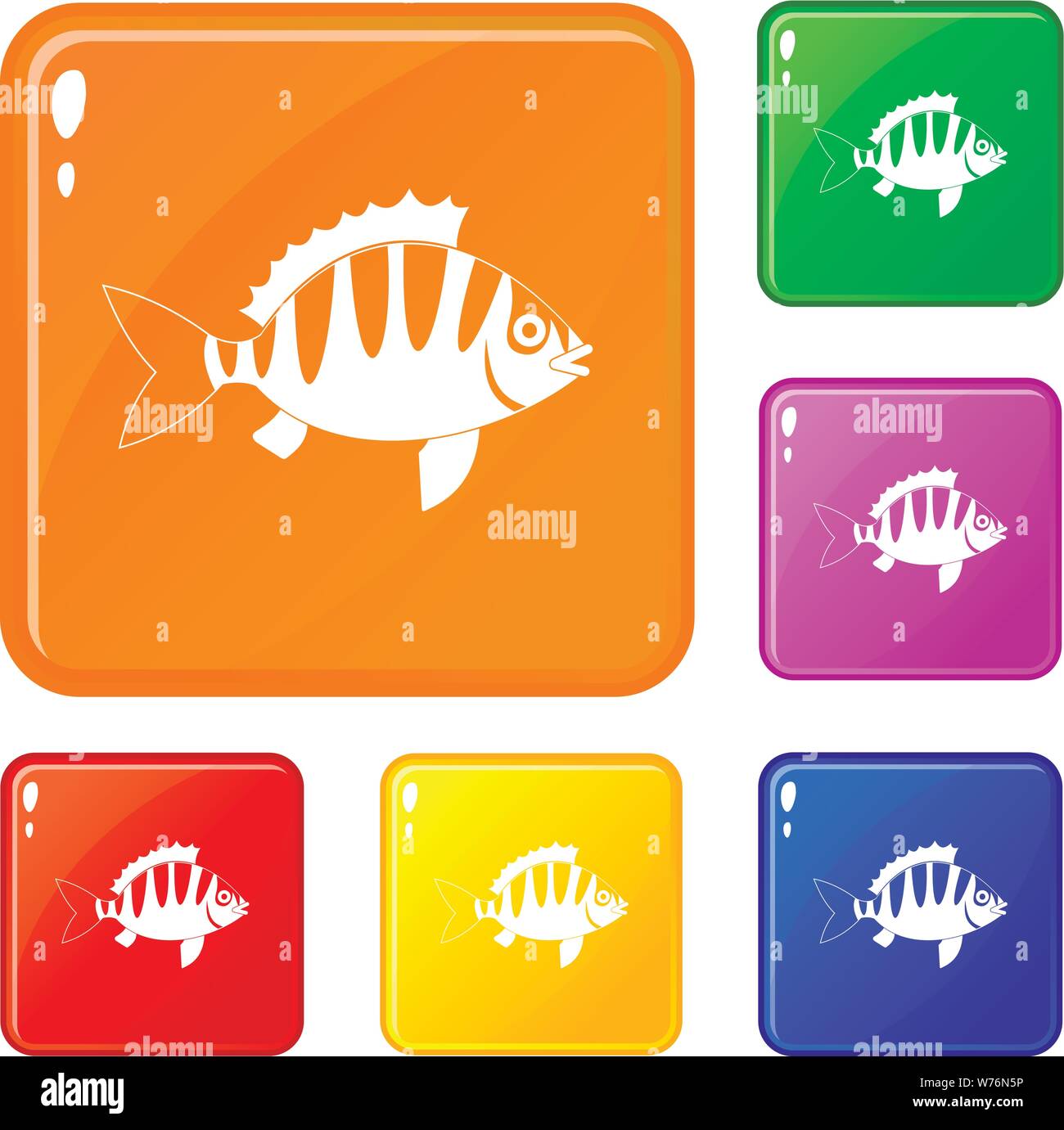 Perch icons set vector color Stock Vector Image & Art - Alamy