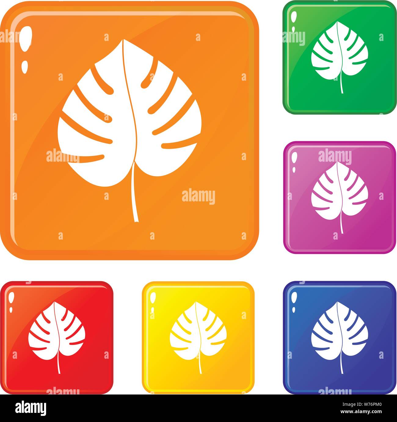 Monstera plant detail Stock Vector Images - Alamy