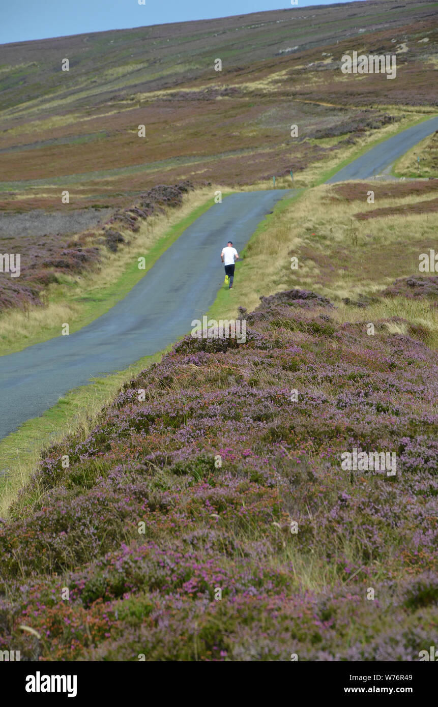 Peat moors north york hi-res stock photography and images - Alamy