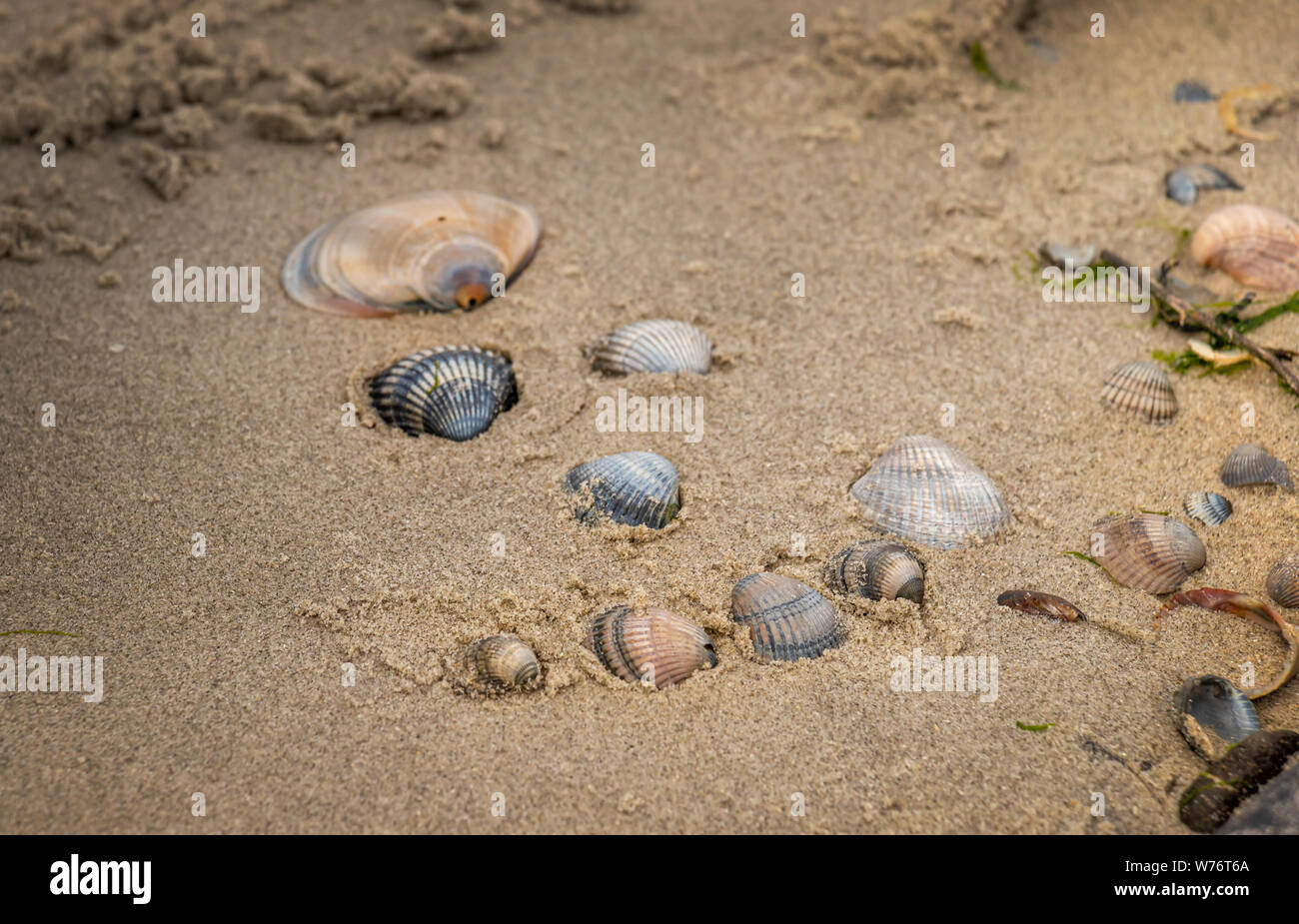 Beach funny texture hi-res stock photography and images - Alamy