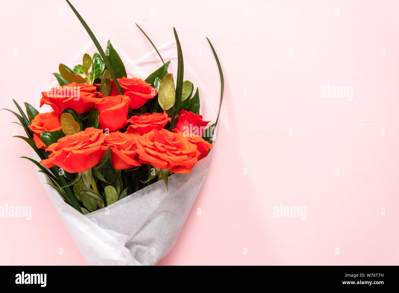 Flat lay. Bouquet of red roses and green leaves on a pink background ...