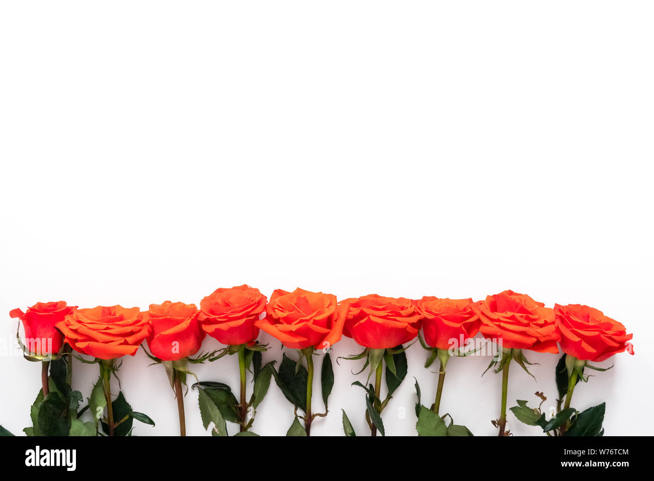 Flat lay. Bouquet of red on a white background Stock Photo - Alamy