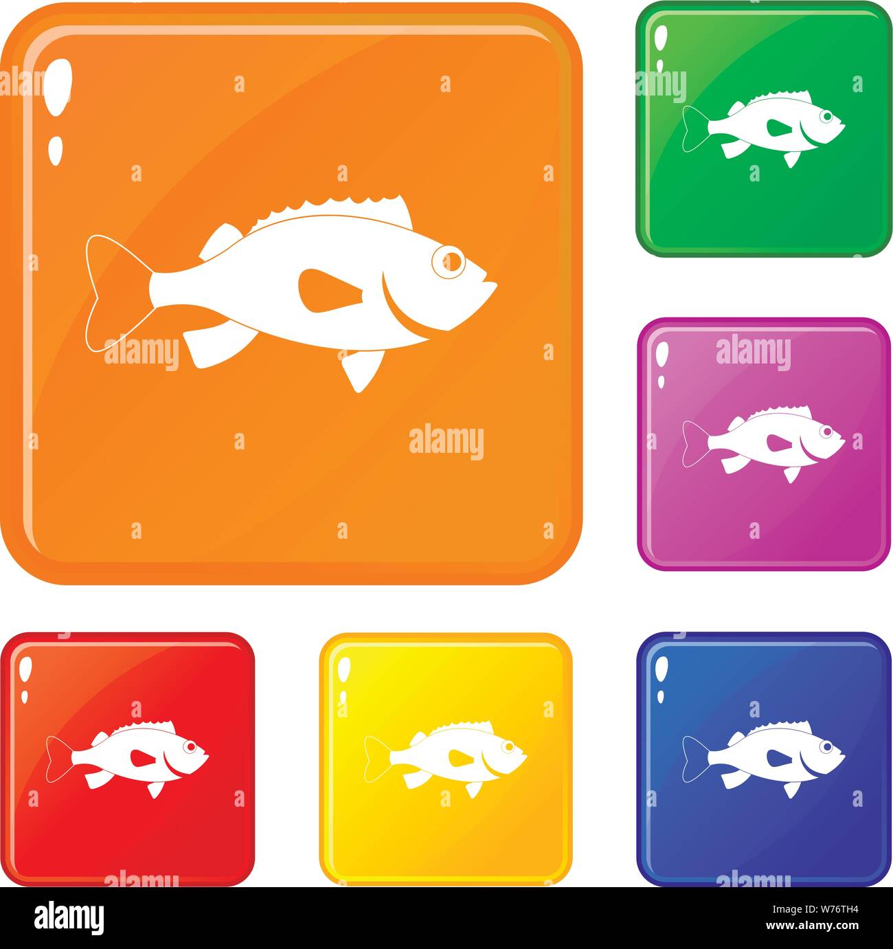 Sea bass fish icons set vector color Stock Vector Image & Art - Alamy