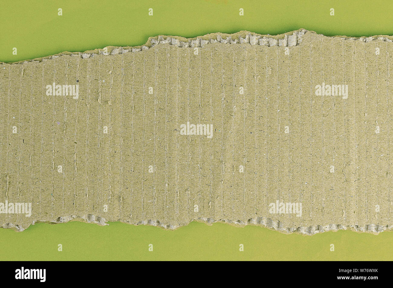 Piece of cardboard, green background for your own text Stock Photo - Alamy