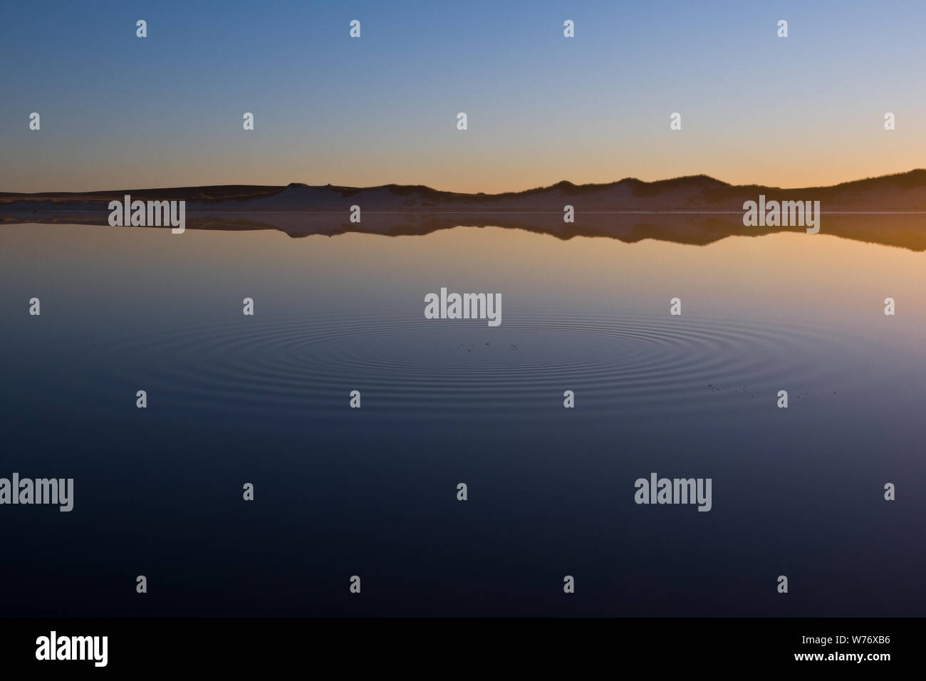 Ripples spreading as a sunset sky reflects in calm water. Bertha's ...