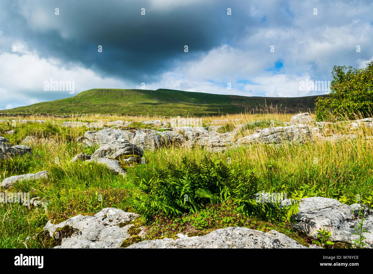 Limestone pavement yorkshire hi-res stock photography and images - Alamy
