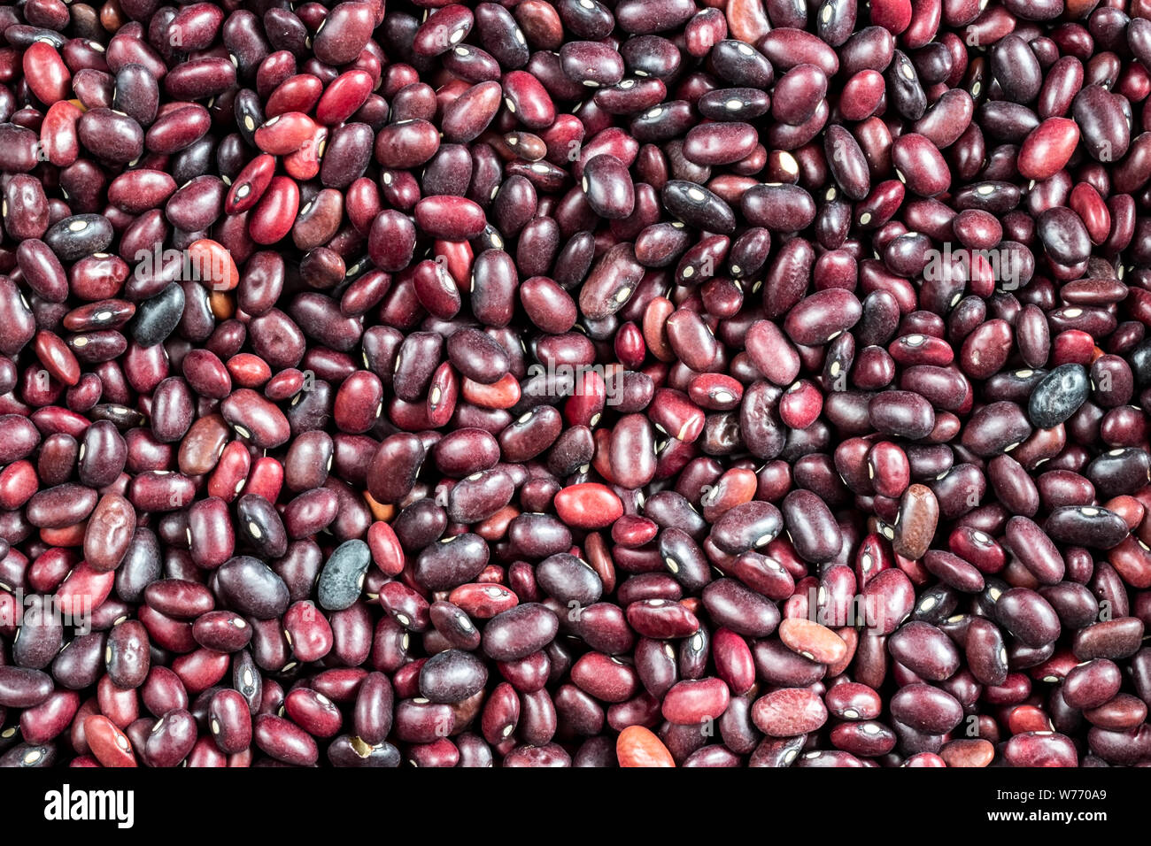Close up Red bean seeds background. Healthy vegan food. Texture Stock ...
