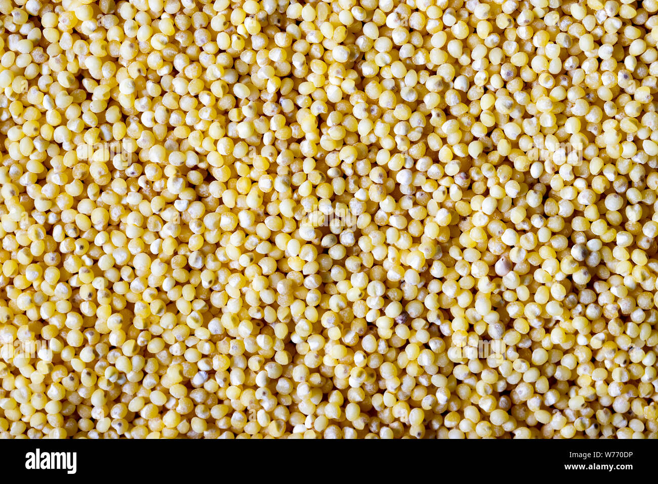 Millet groats background. Gluten-Free and healthy vegeterian food ...