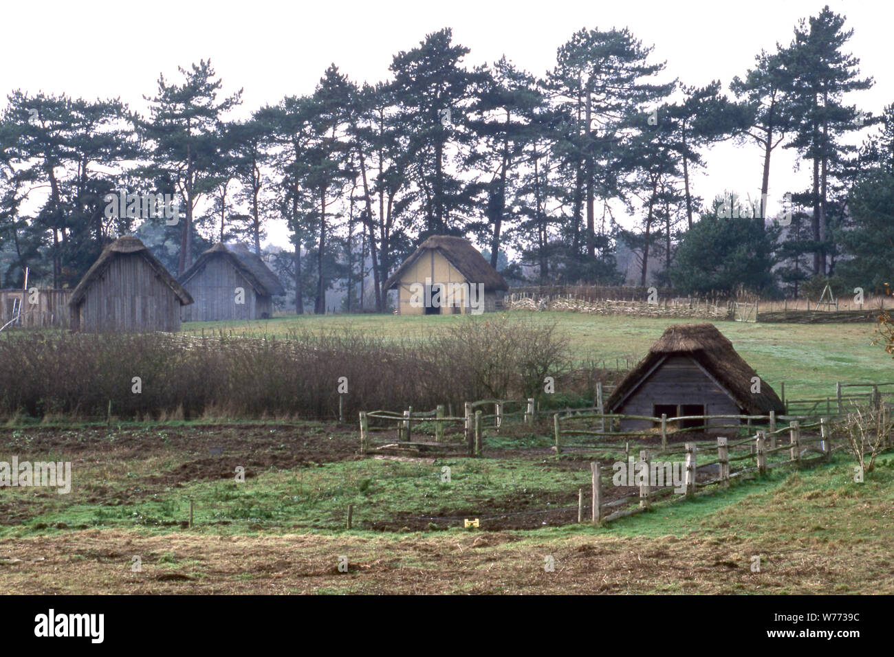 Anglo saxon village hi-res stock photography and images - Alamy