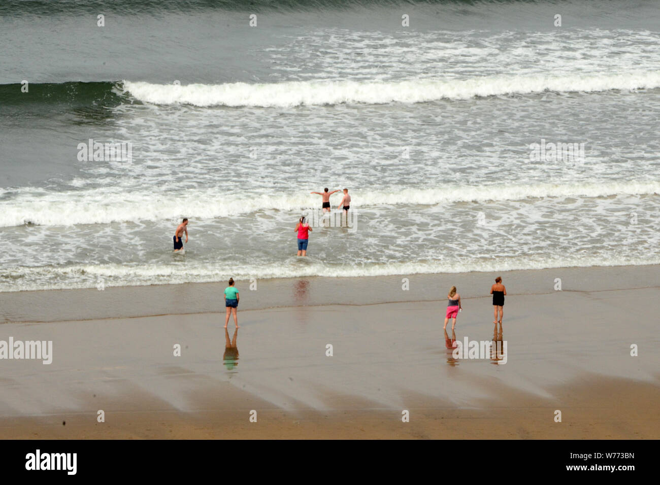 Haddock swimming hi-res stock photography and images - Alamy