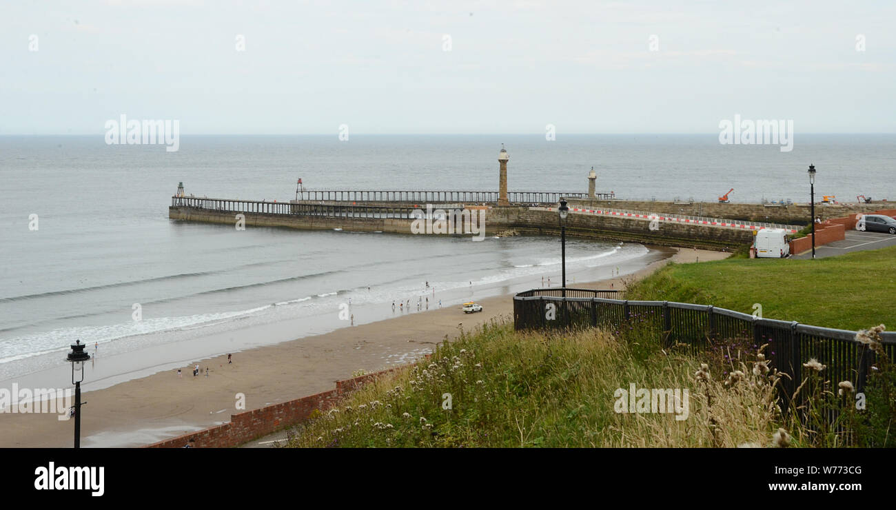 Haddock swimming hi-res stock photography and images - Alamy