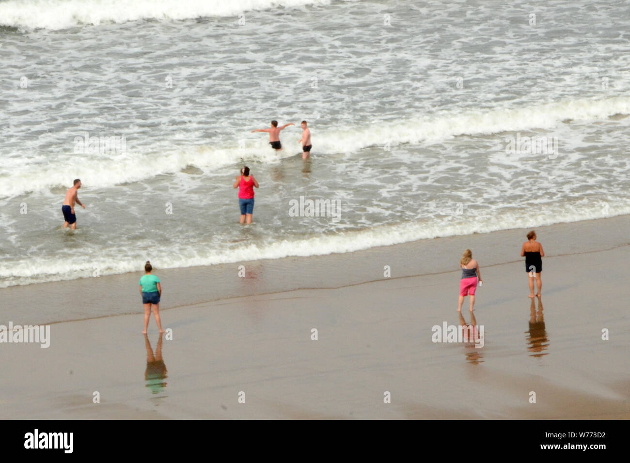 Haddock swimming hi-res stock photography and images - Alamy