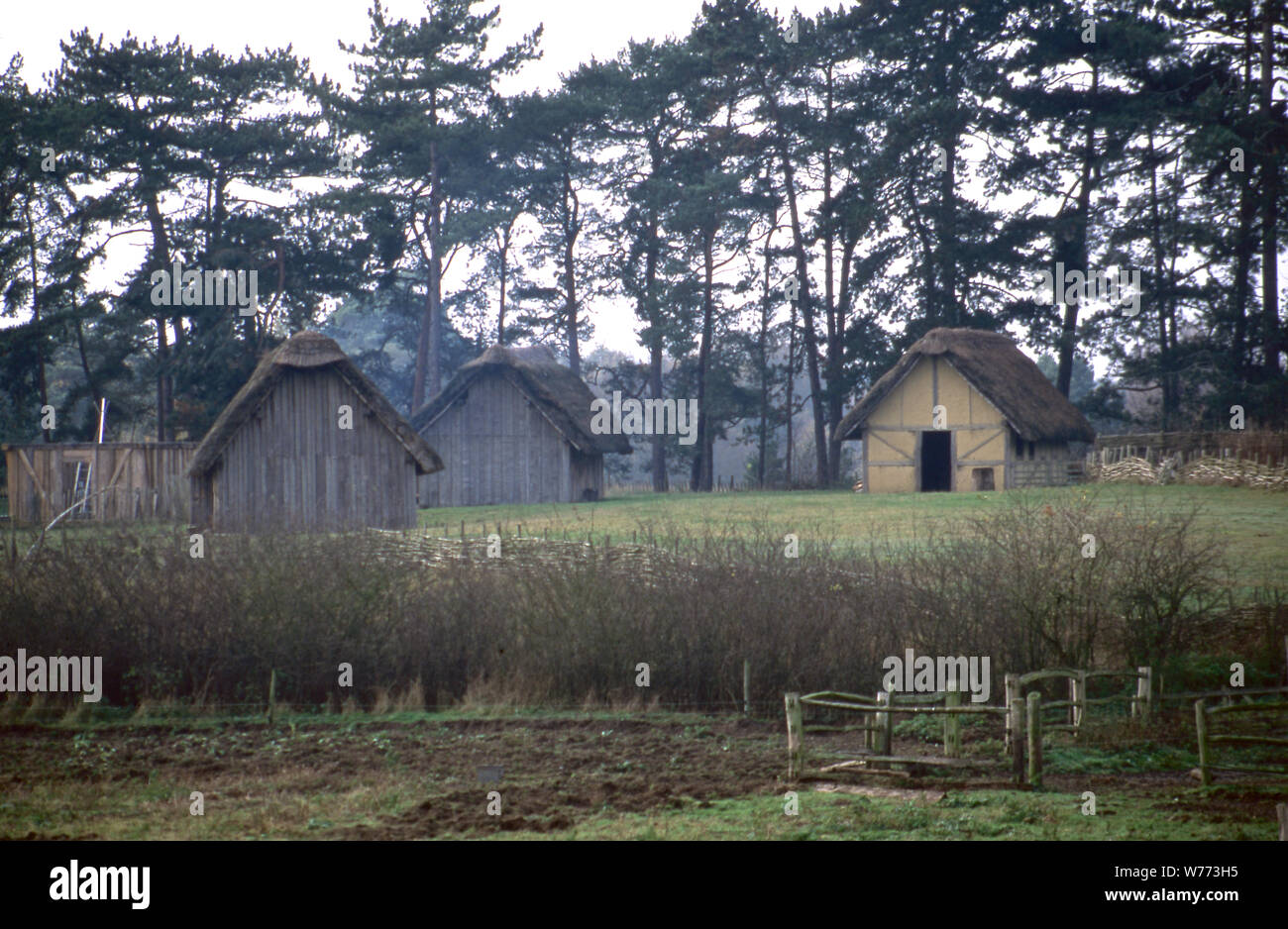 Anglo saxon village hi-res stock photography and images - Alamy