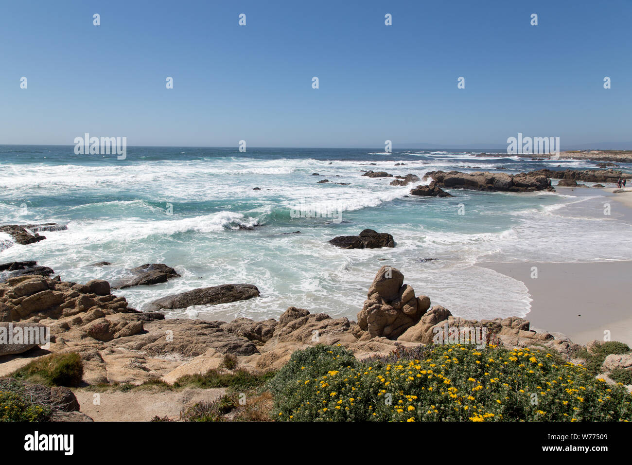 17-Mile Drive, scenic road through Monterey, California Physical ...