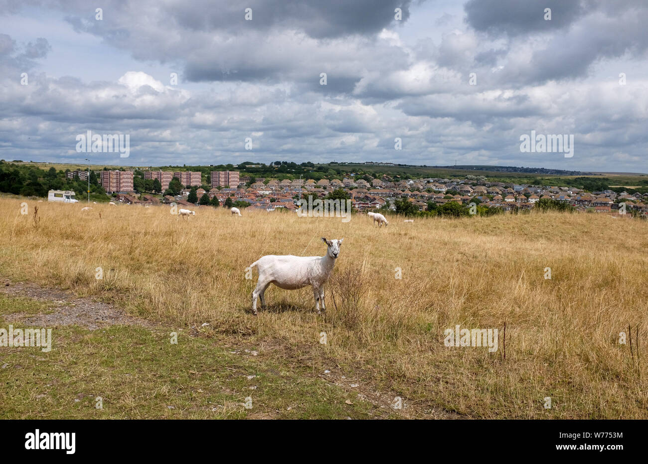 Whitehawk estate brighton hi-res stock photography and images - Alamy