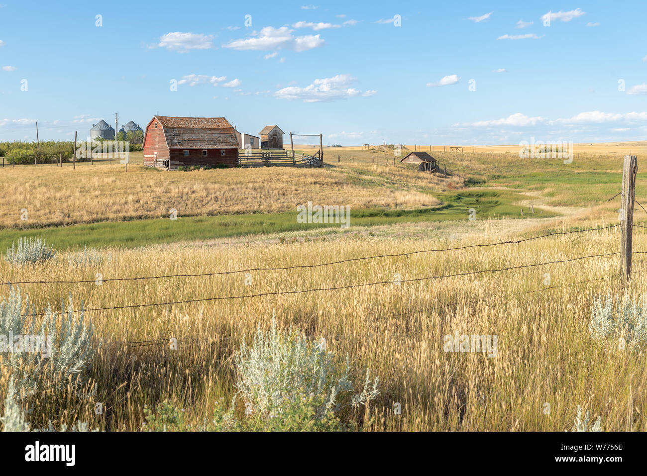 Orion alberta hi-res stock photography and images - Alamy