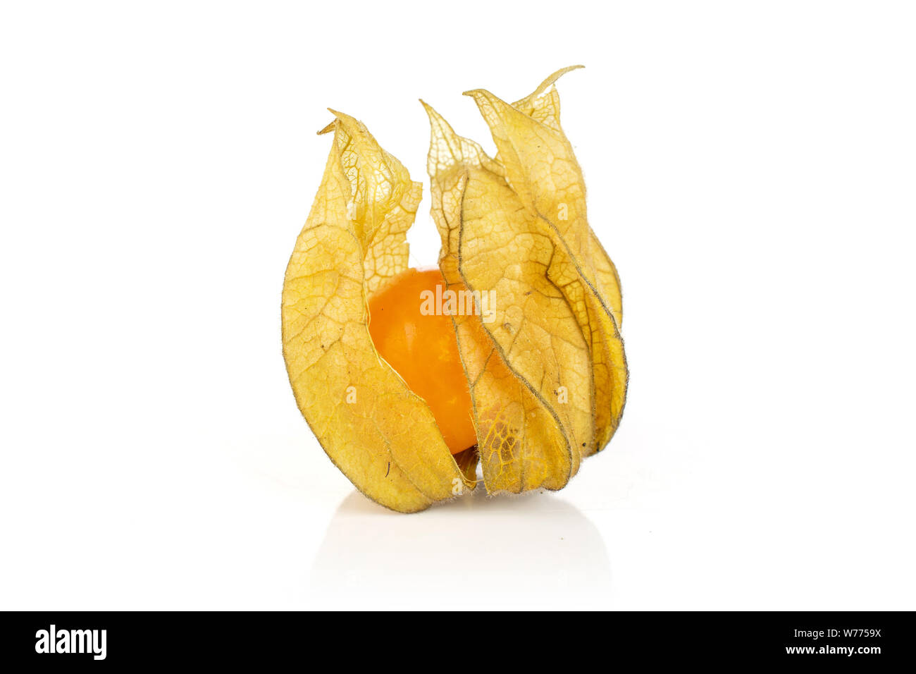 One whole fresh orange physalis with husk isolated on white background ...