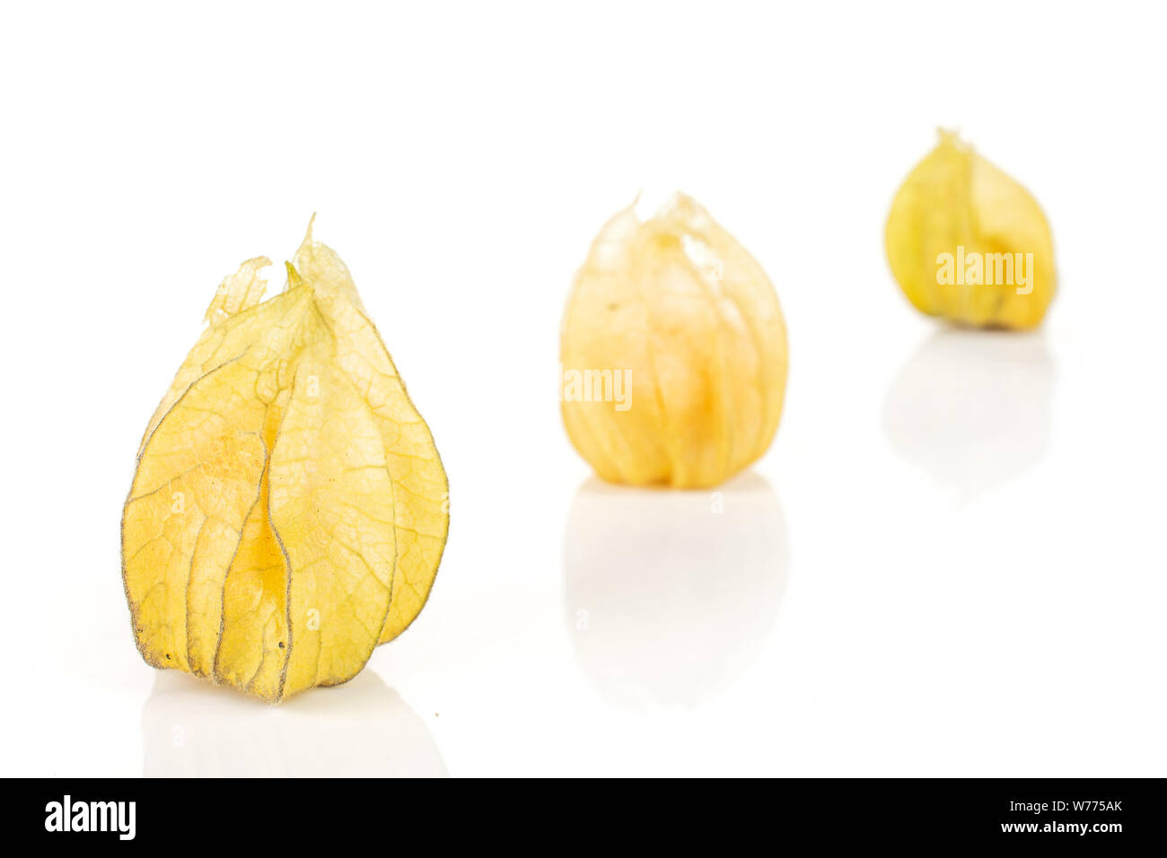 Group of three whole fresh orange physalis placed diagonally in line ...