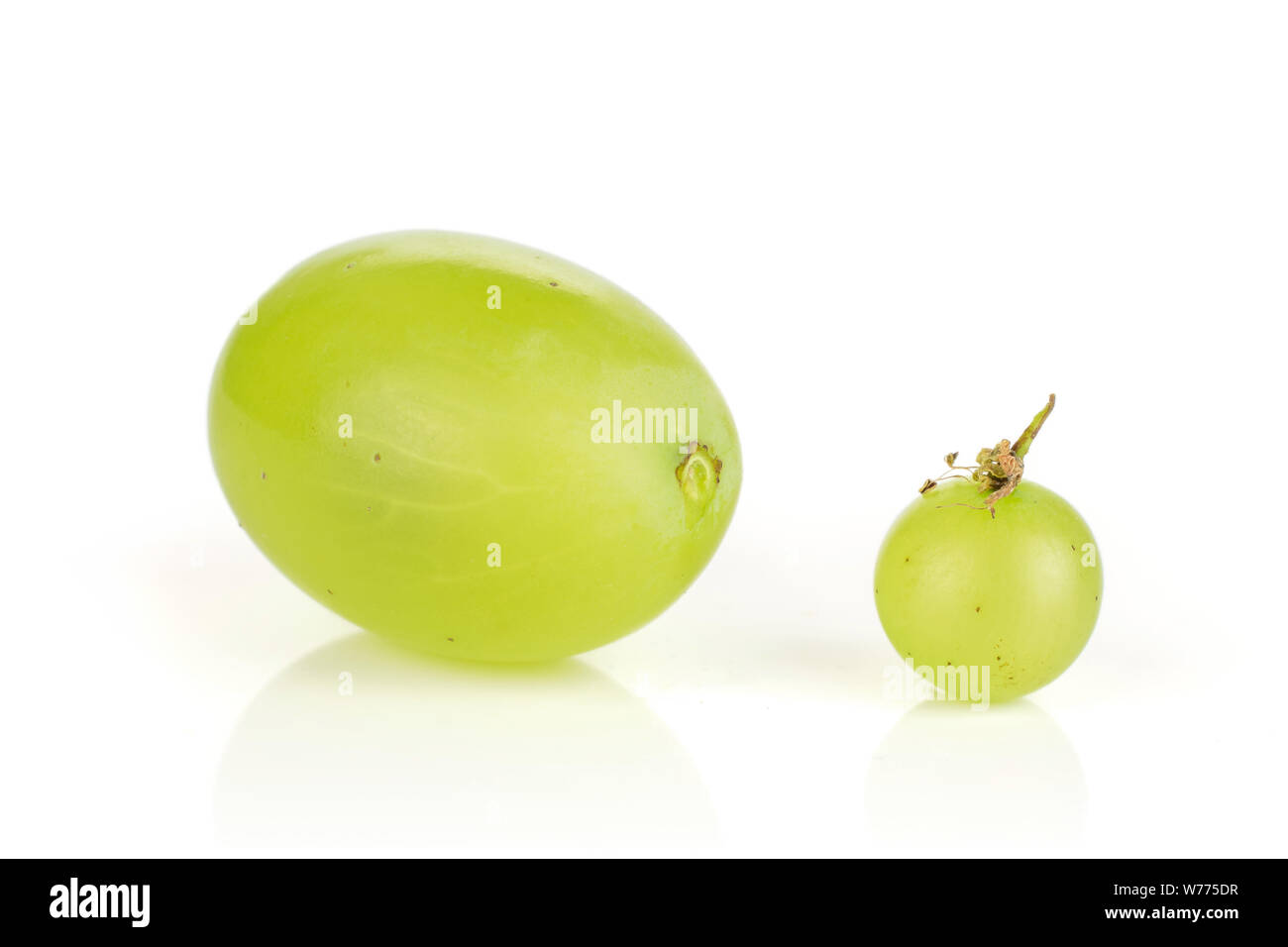 Group of two whole fresh green grape isolated on white background Stock ...