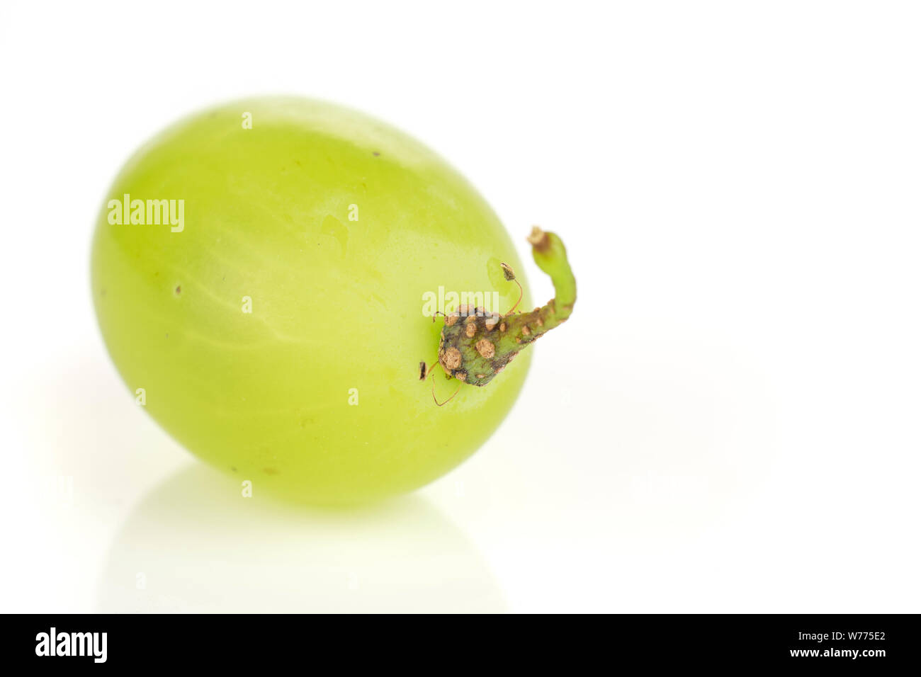 One whole fresh green grape isolated on white background Stock Photo ...