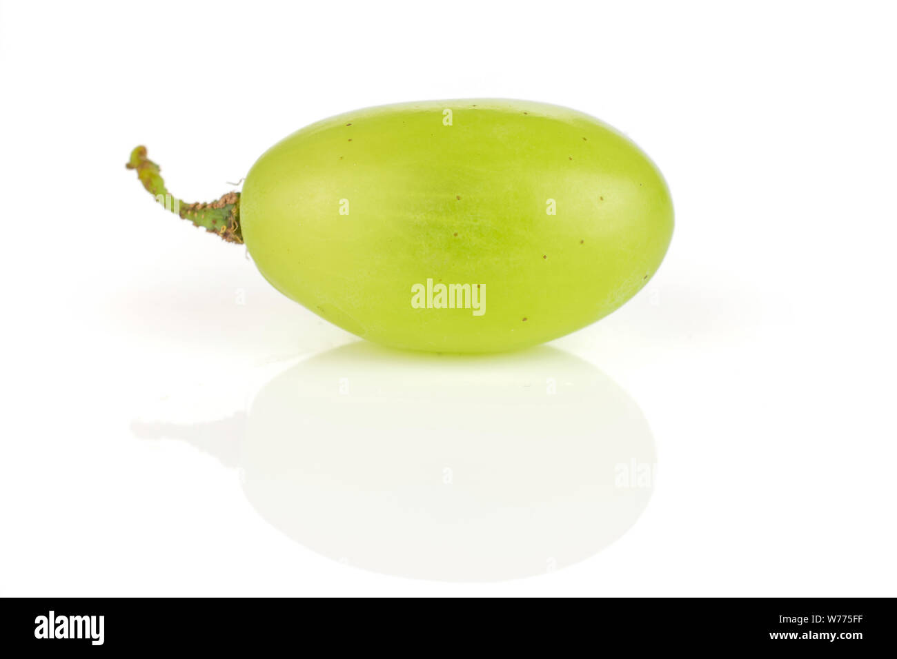One whole fresh green grape from the side isolated on white background ...