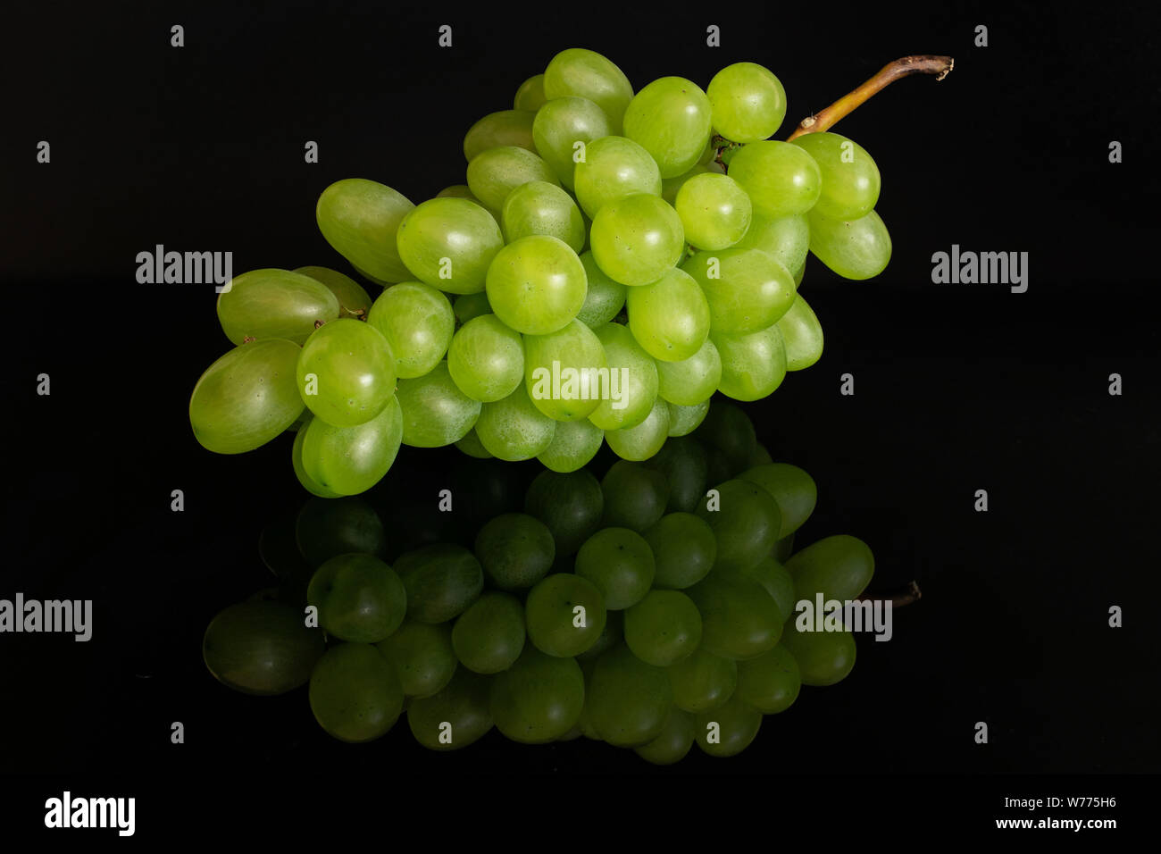 Huge bunch of fresh green grape isolated on black glass Stock Photo - Alamy