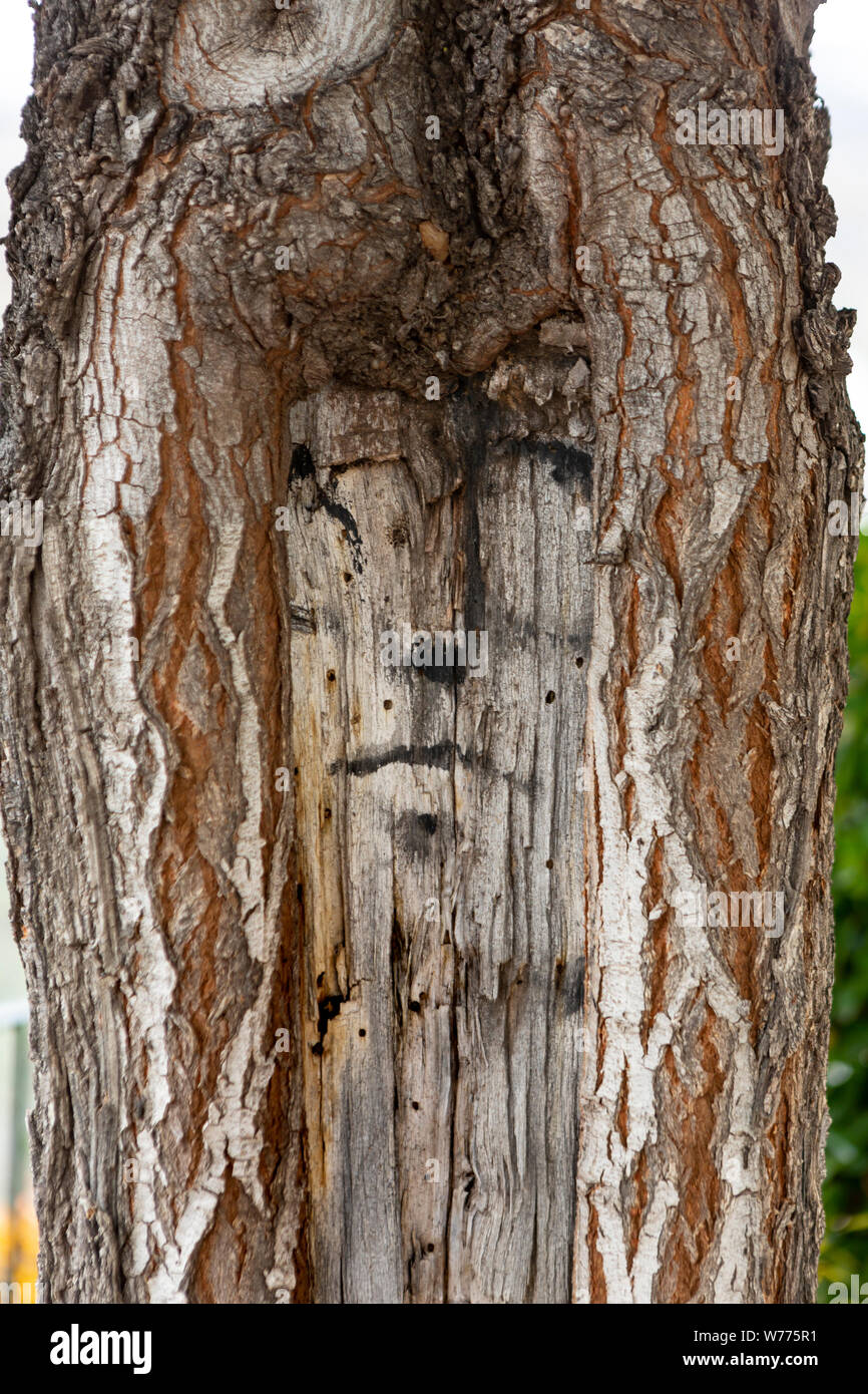 Wood carved tree hi-res stock photography and images - Alamy
